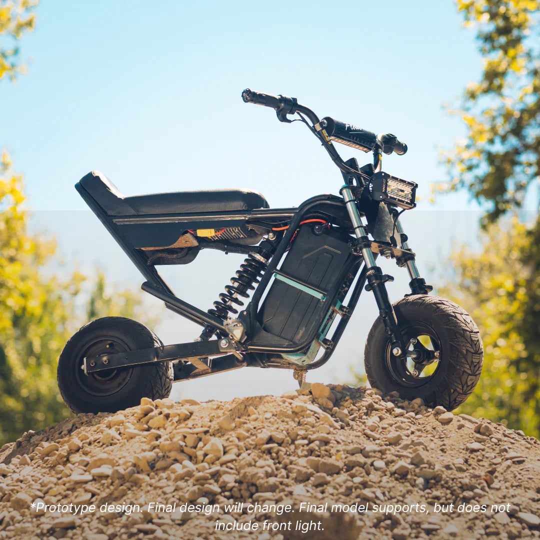 MASTER THE WHEELIE WITH THE GROUNDBREAKING WHEELIE FUN BIKE V1 ...